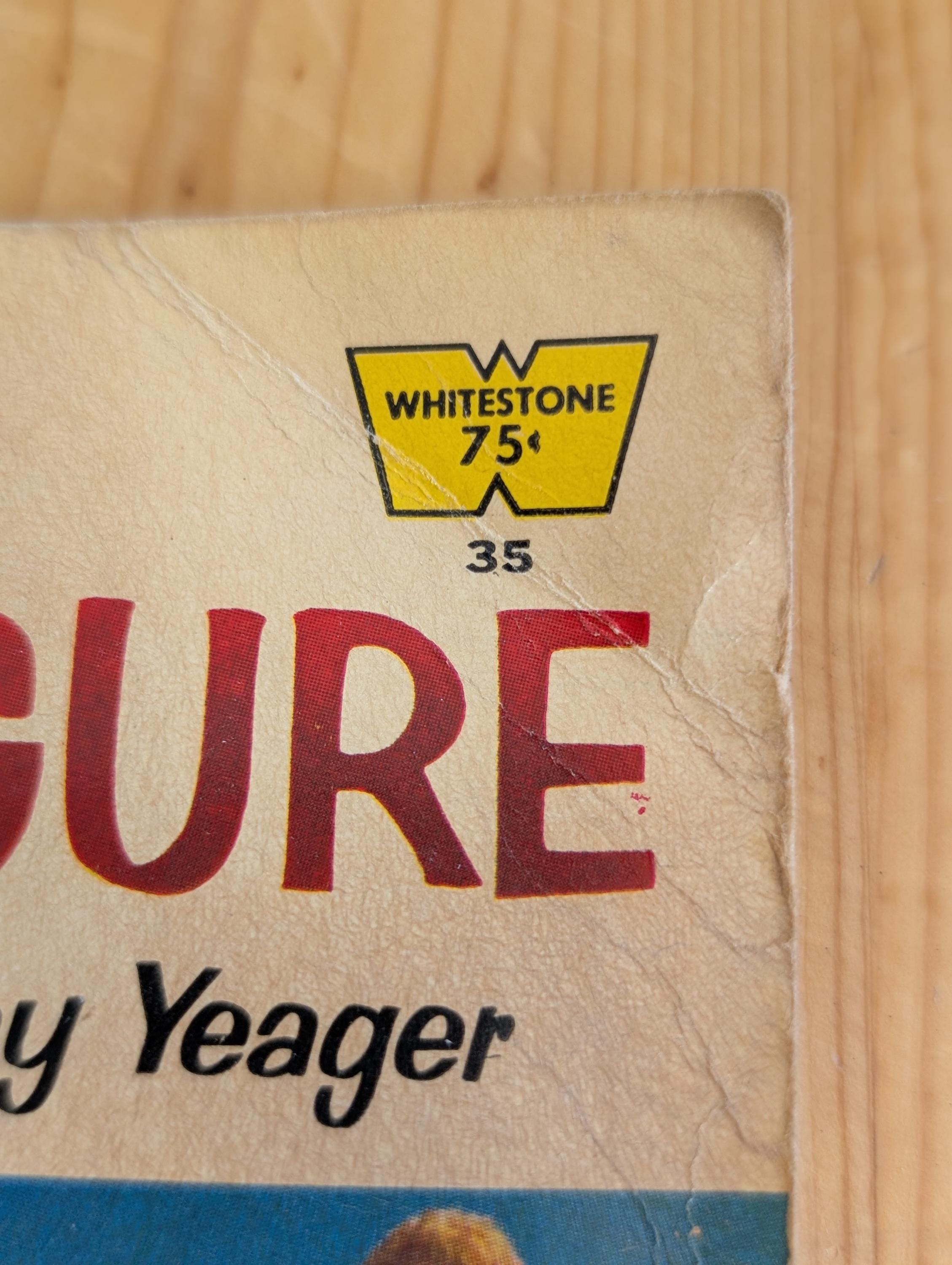 Photographing the Female Figure" Magazine by Bunny Yeager Fawcett #345 ...