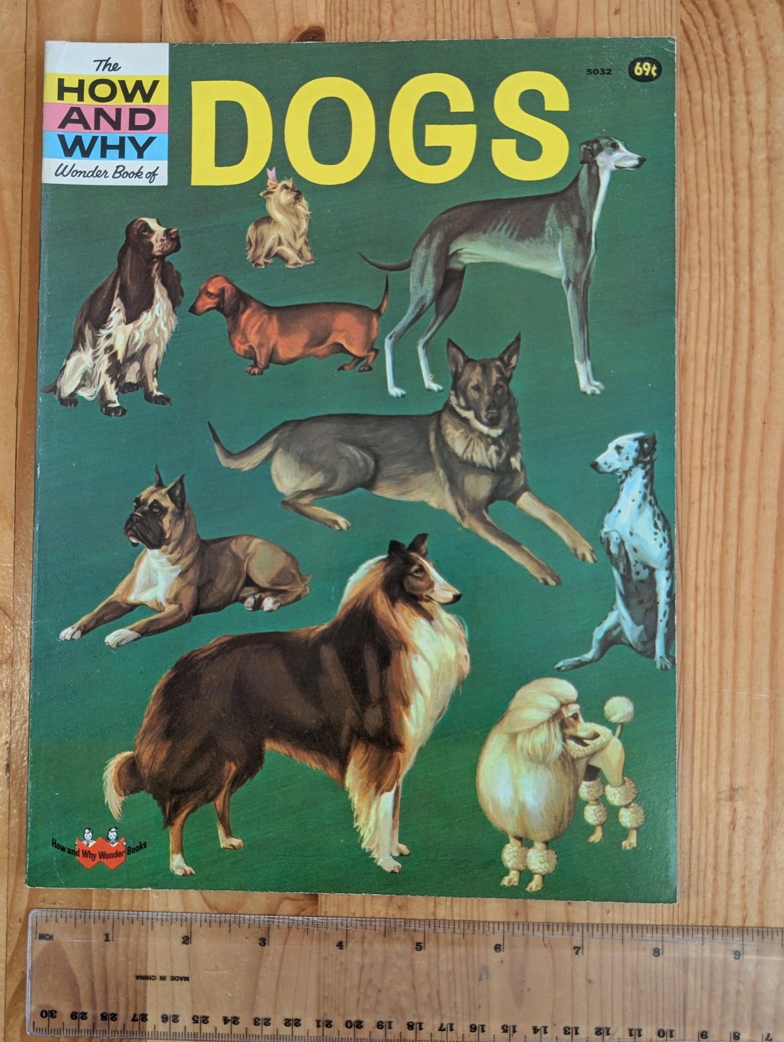 The How and Why Wonder Book of Dogs 1970's Illustrated Children's ...