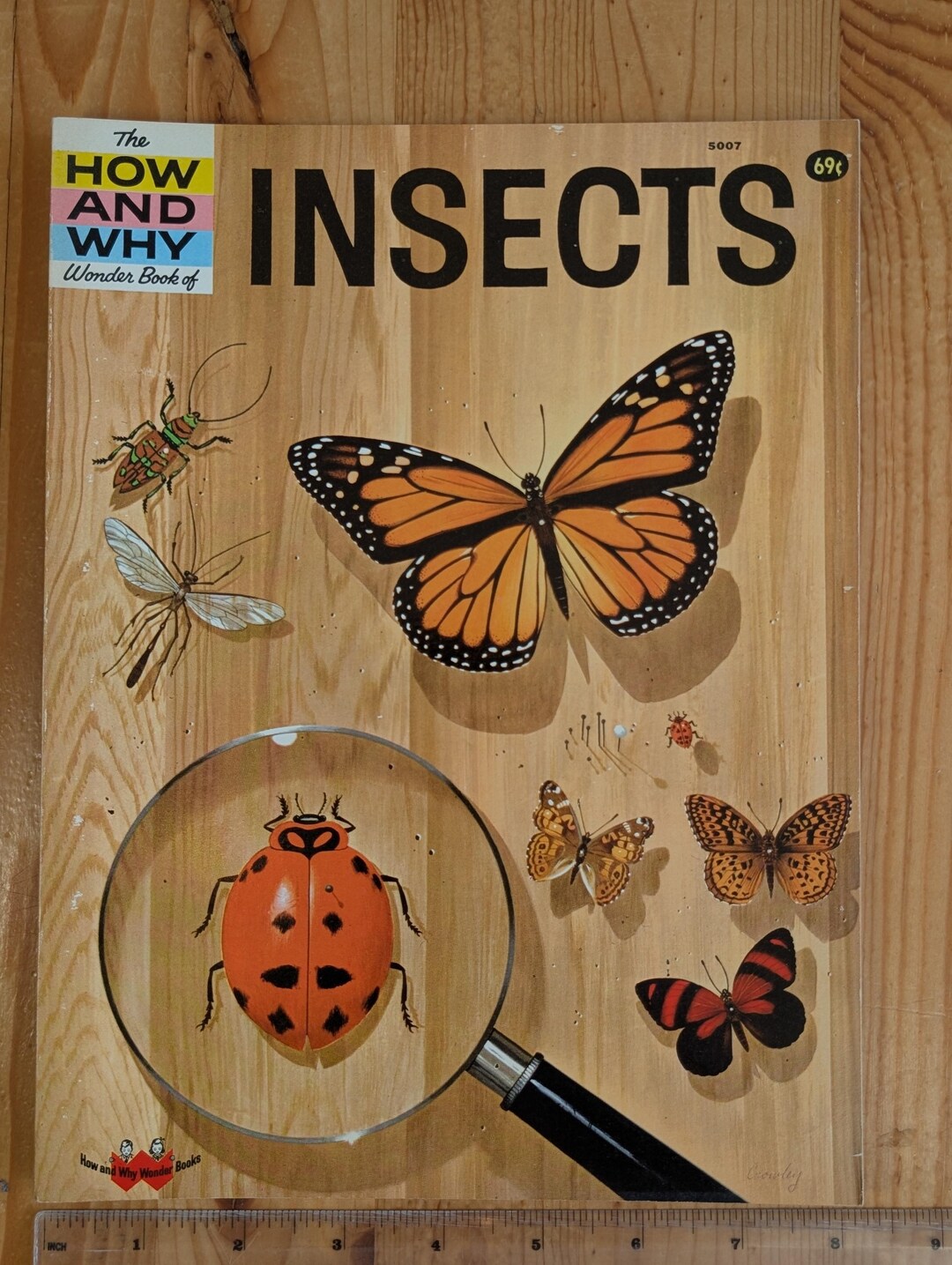 The How and Why Wonder Book of Insects 1970's Illustrated Children's ...