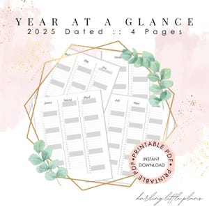 2025 Year at A Glance Overview Pages • Planner Printable • Perpetual ...