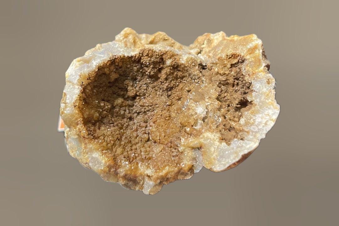 Ferruginous Quartz With Crinoid Fossil Shell - Etsy