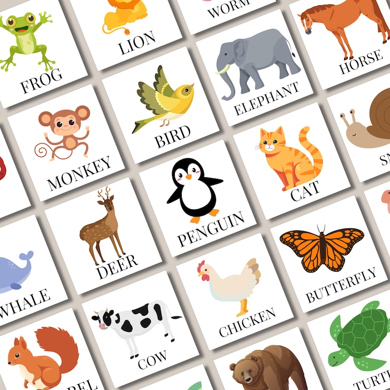 Animal Flashcards for Toddlers and Children, Animal Cards for Kids ...