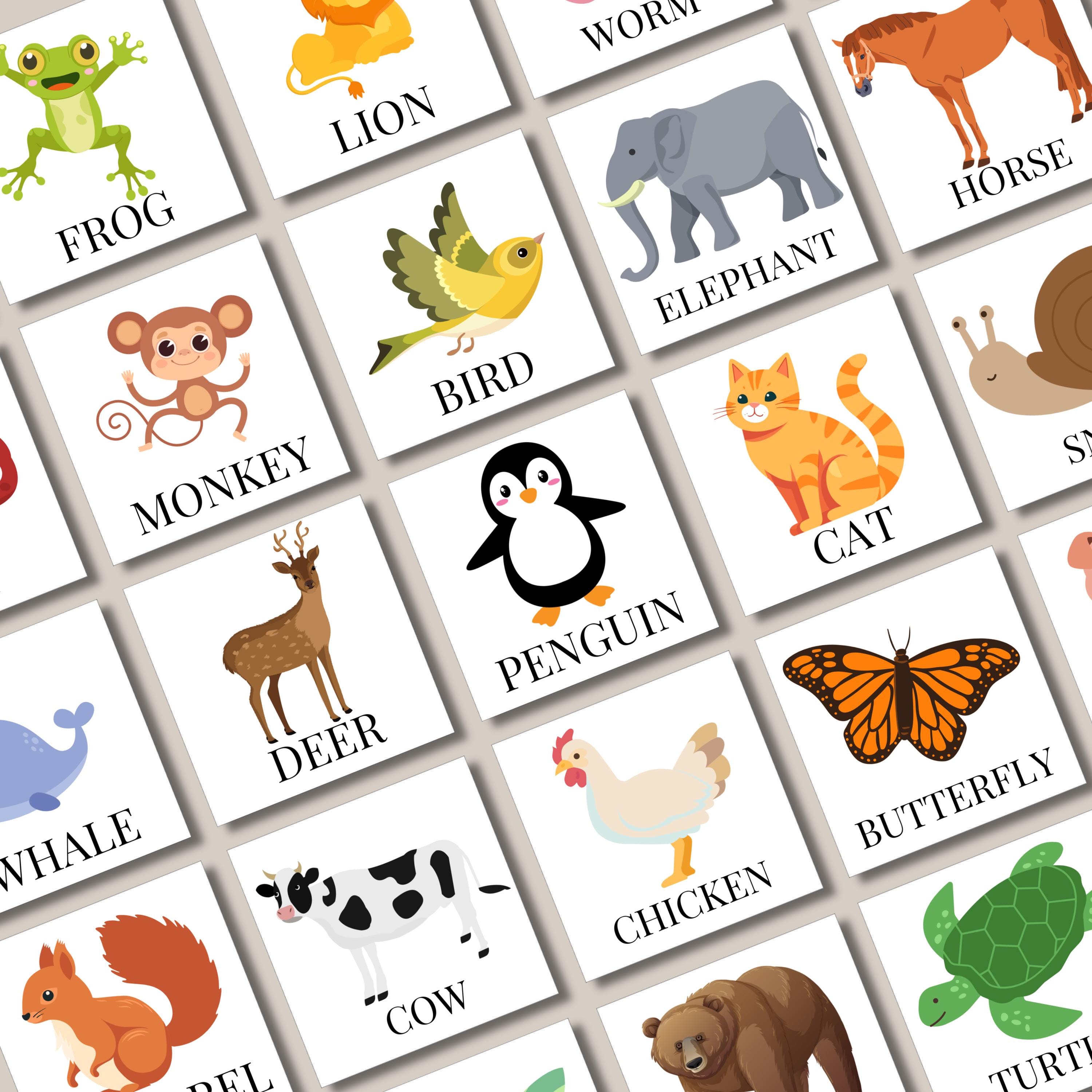 Animal Flashcards for Toddlers and Children, Animal Cards for Kids ...