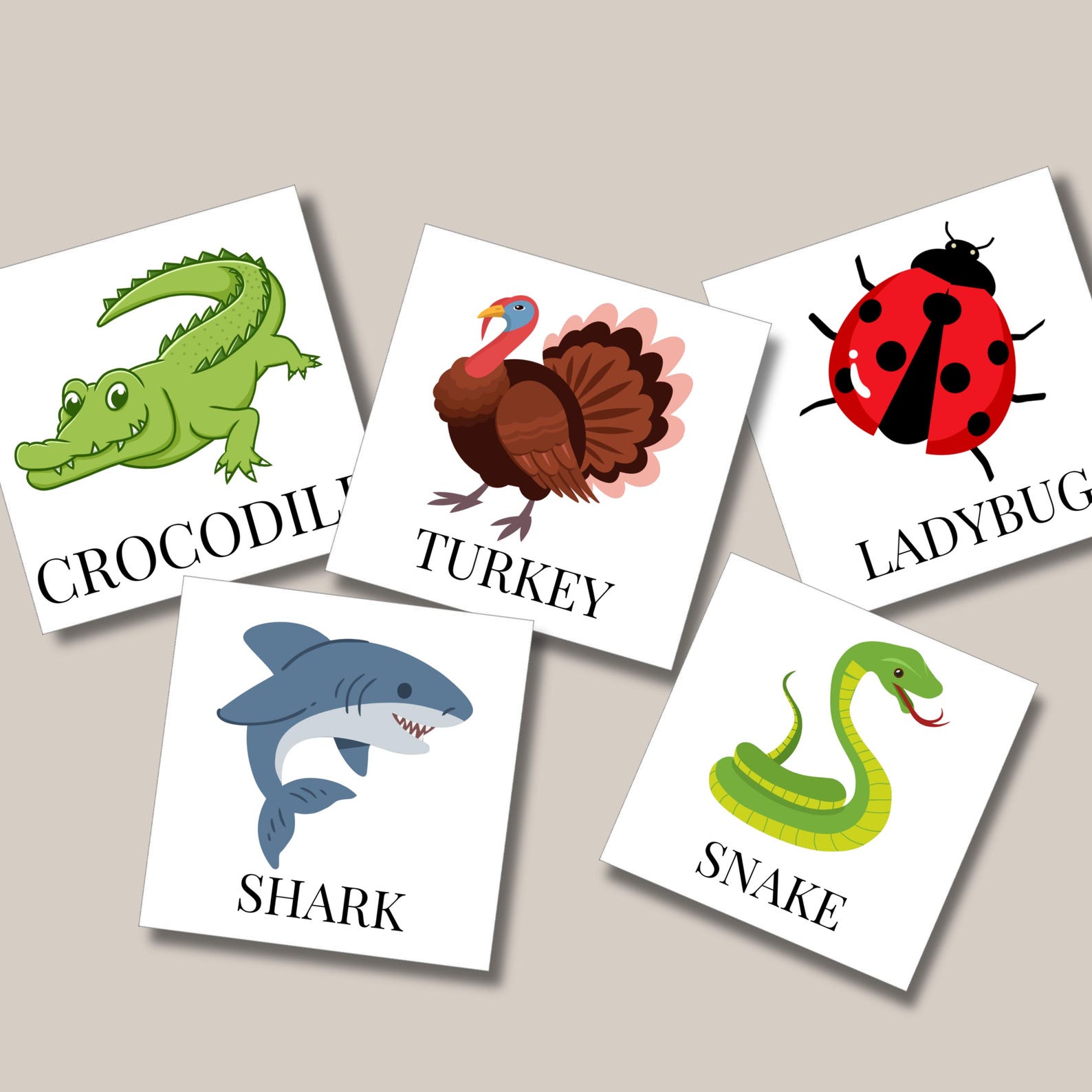 Animal Flashcards for Toddlers and Children, Animal Cards for Kids ...
