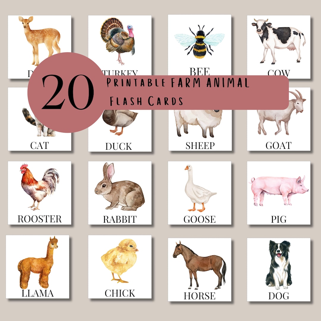 Farm Animal Flashcards for Toddlers and Children, Interactive Cards for ...