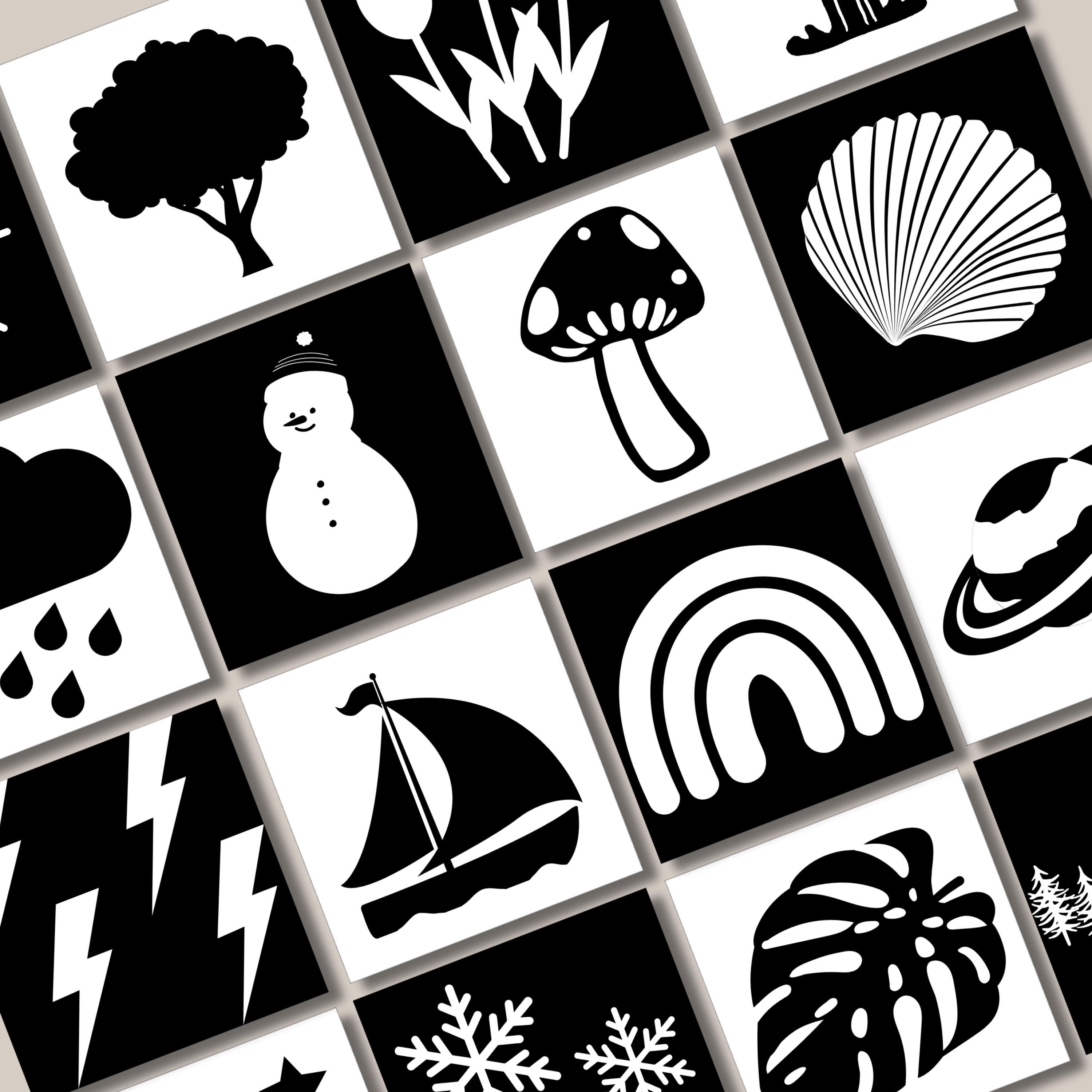 40 High Contrast Nature Sensory Cards for Babies and Infants, Black and ...