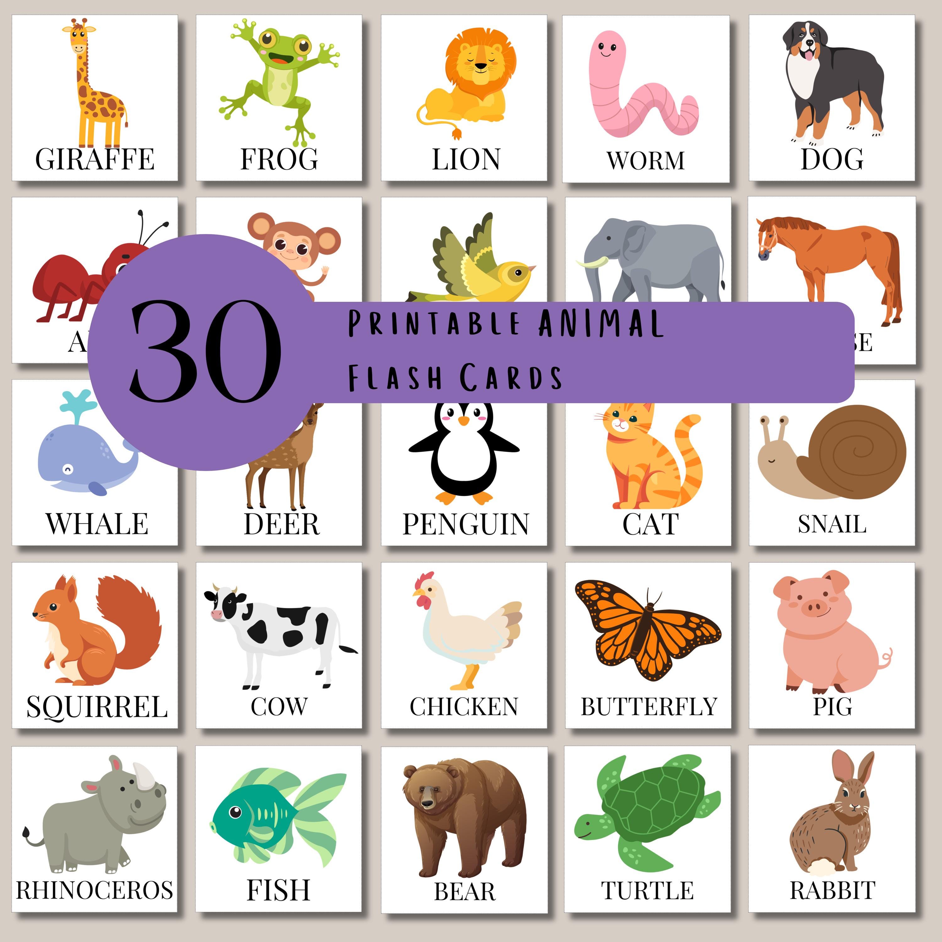Animal Flashcards for Toddlers and Children, Animal Cards for Kids ...