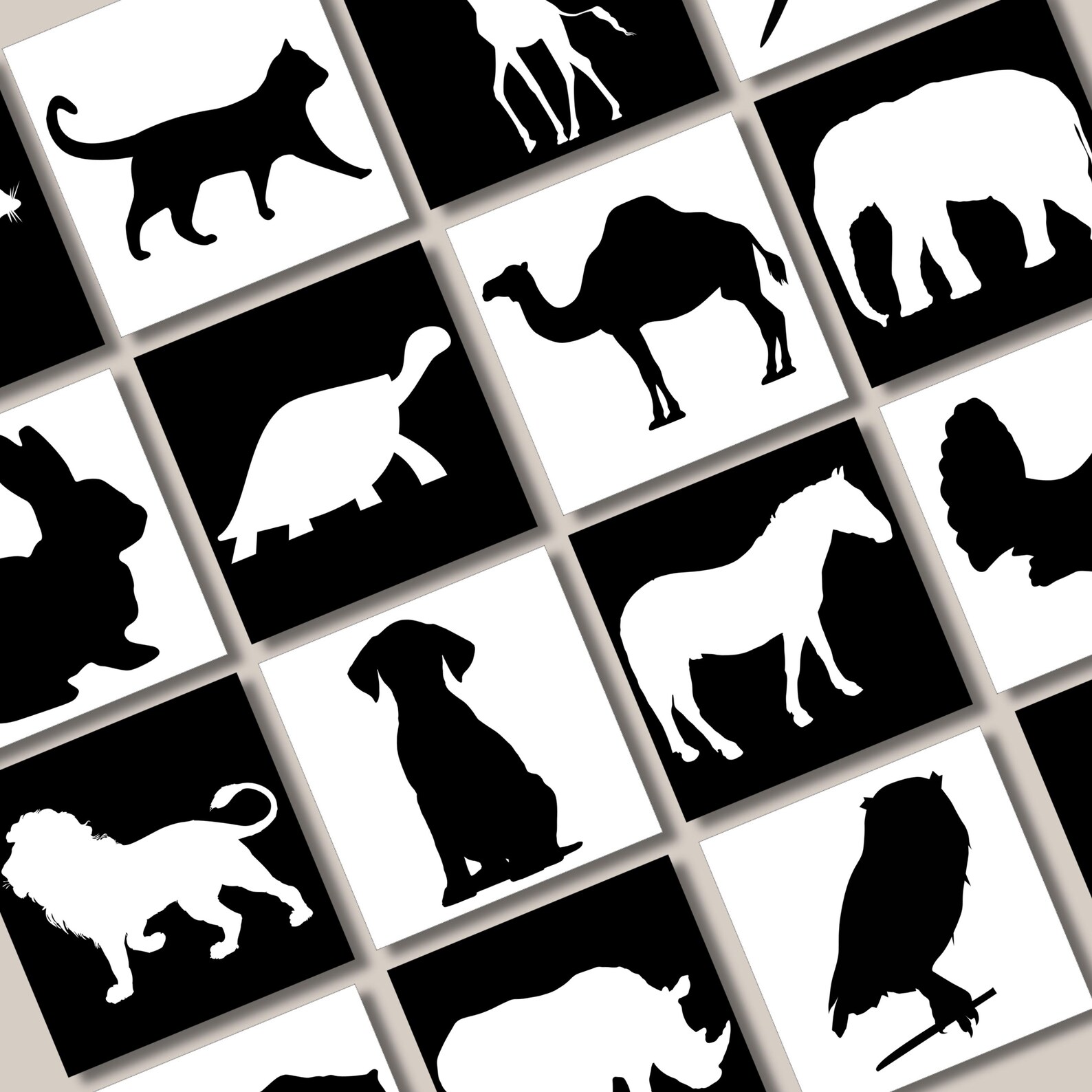 40 High Contrast Animal Sensory Cards for Babies and Infants, Black and ...