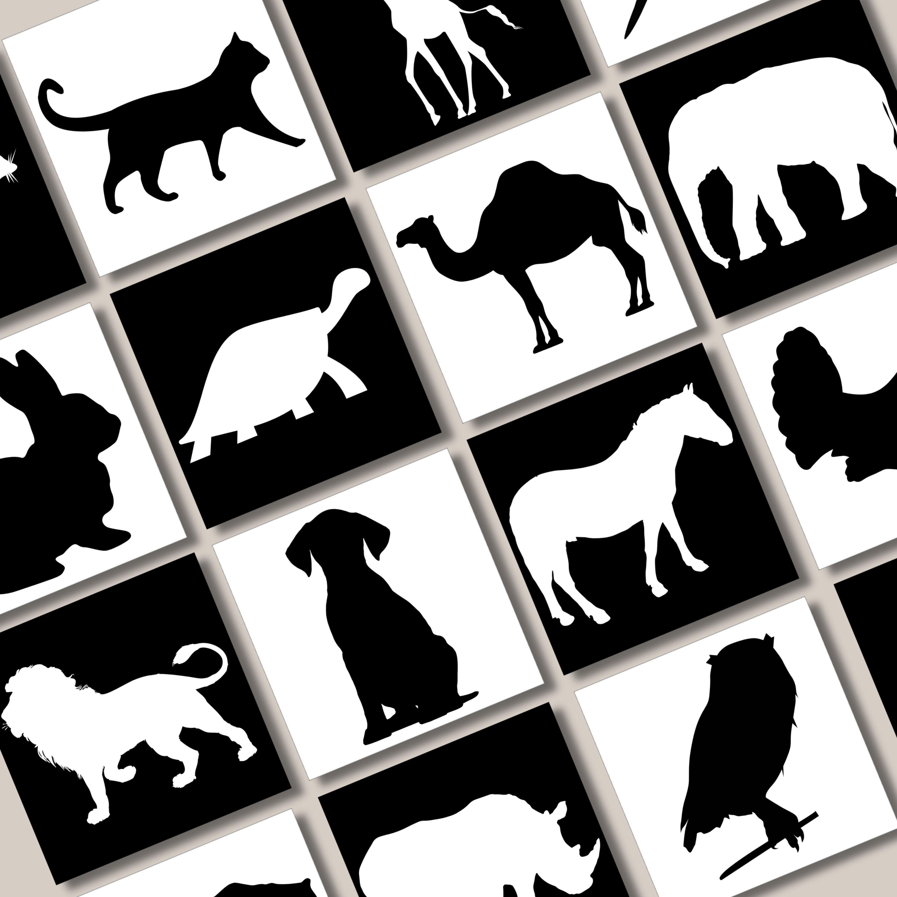 40 High Contrast Animal Sensory Cards for Babies and Infants, Black and ...