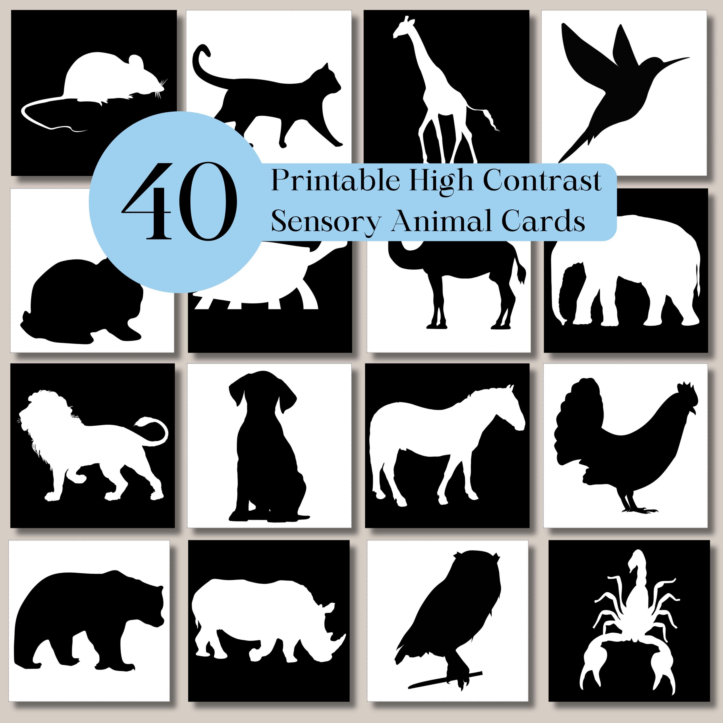 40 High Contrast Animal Sensory Cards for Babies and Infants, Black and ...
