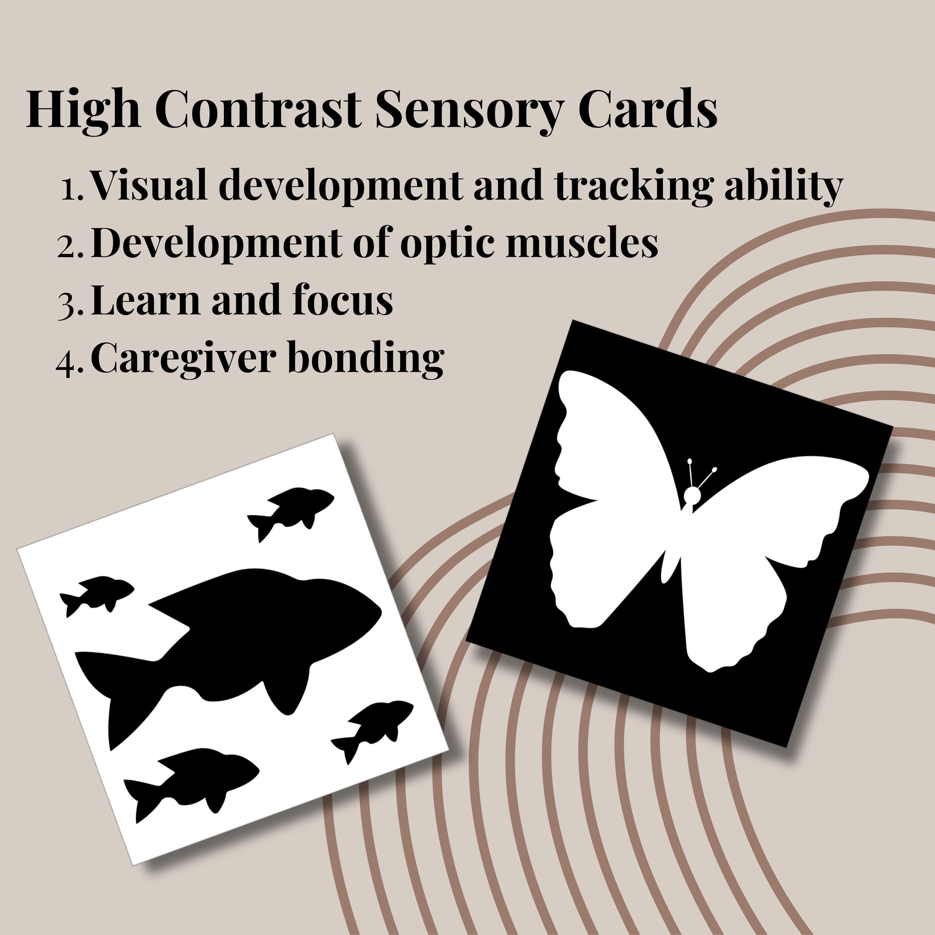 40 High Contrast Animal Sensory Cards for Babies and Infants, Black and ...