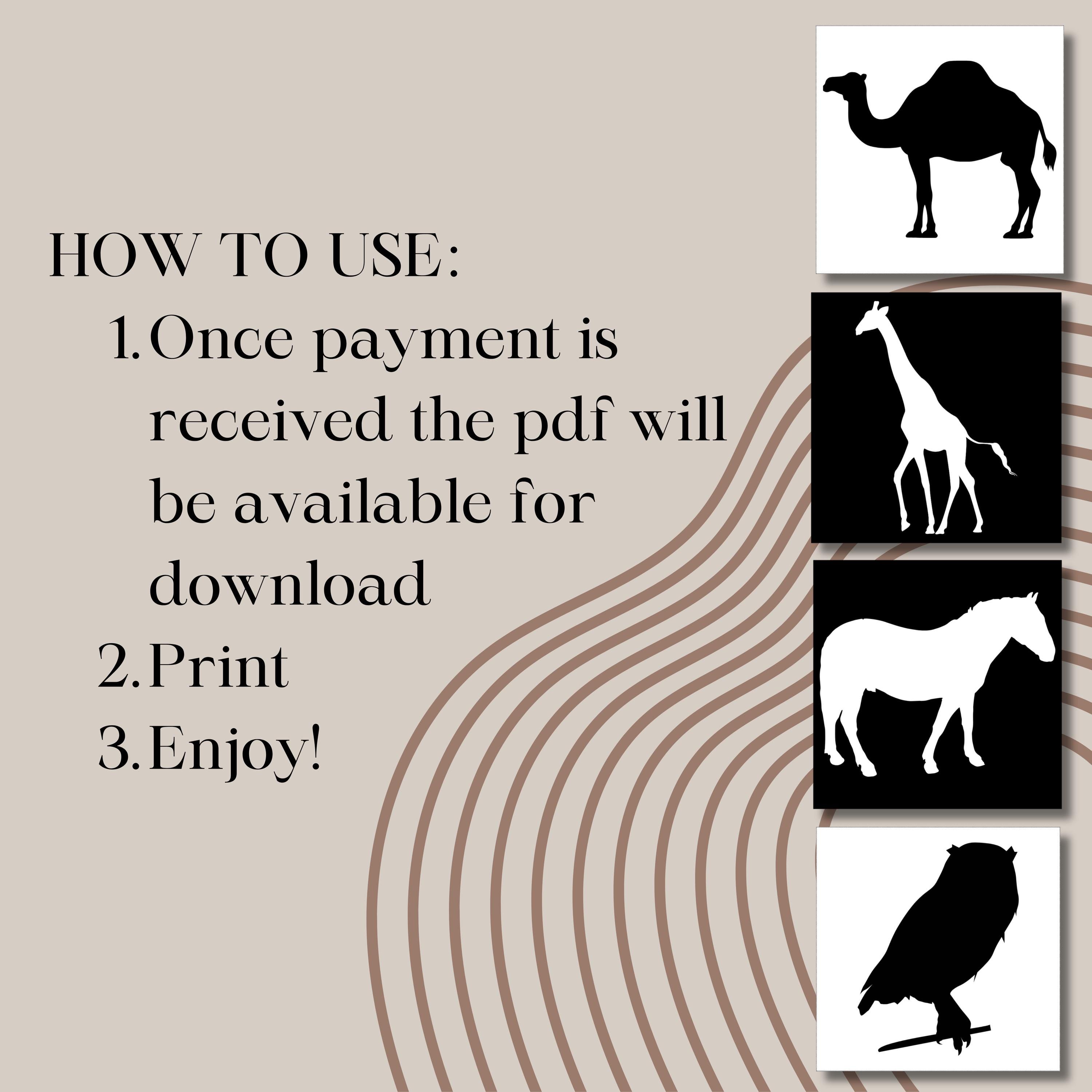 40 High Contrast Animal Sensory Cards for Babies and Infants, Black and ...