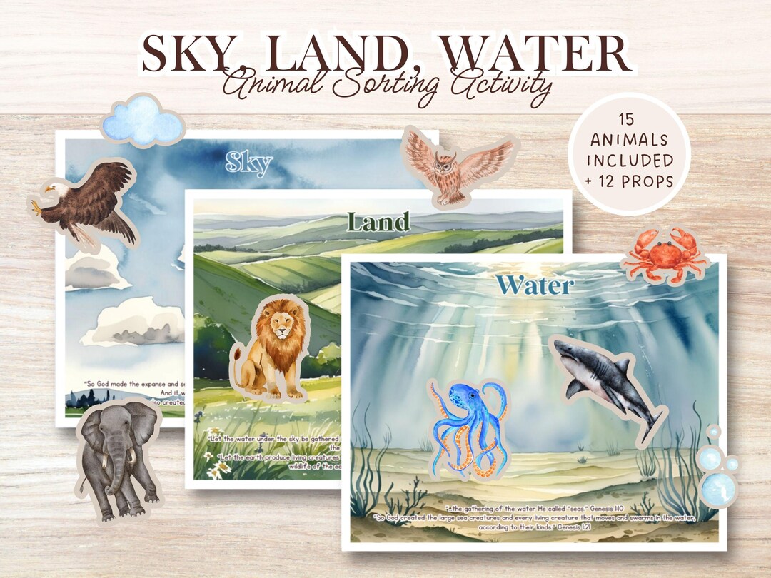Sky, Land, Water Animal Sorting | Christian Faith | Kids Educational ...
