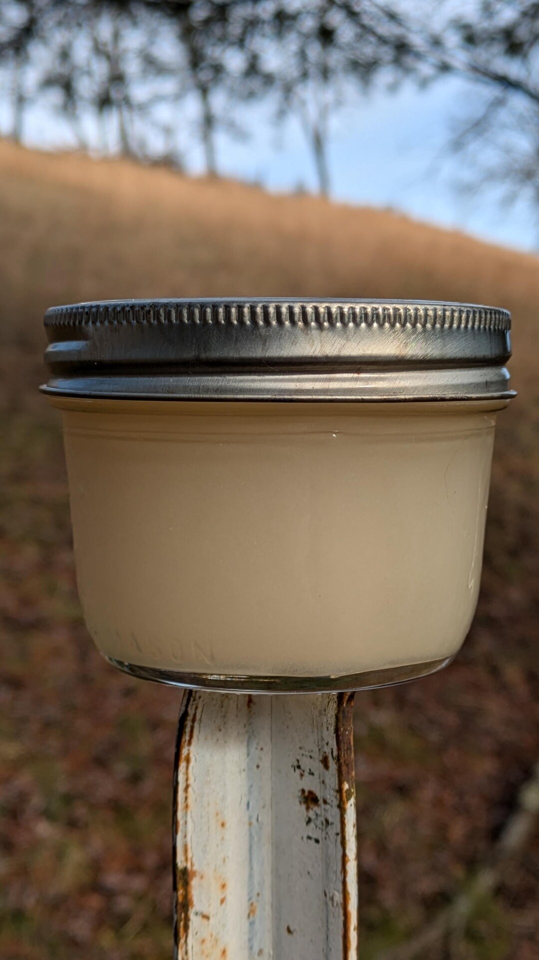 Sunflower Ash Liquid Soap – Made With Handmade Lye - Etsy