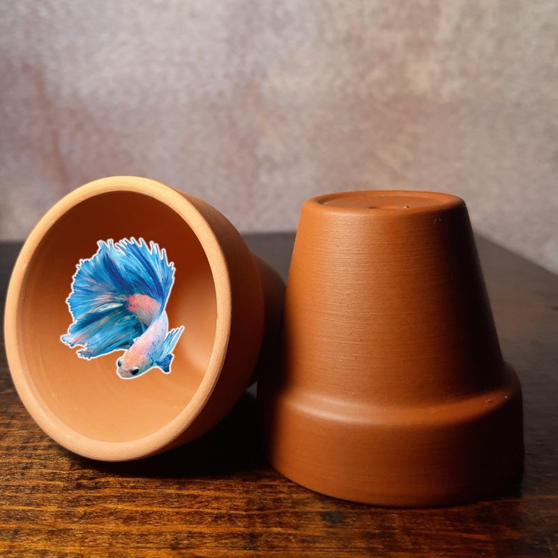 Betta Tank Decor Ceramic - Etsy