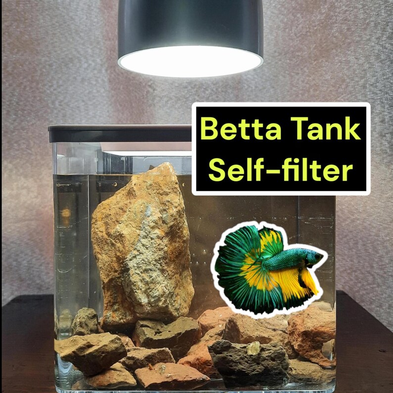 Minimalist Betta Tank With Built-in Filtration System | Just Add Water ...
