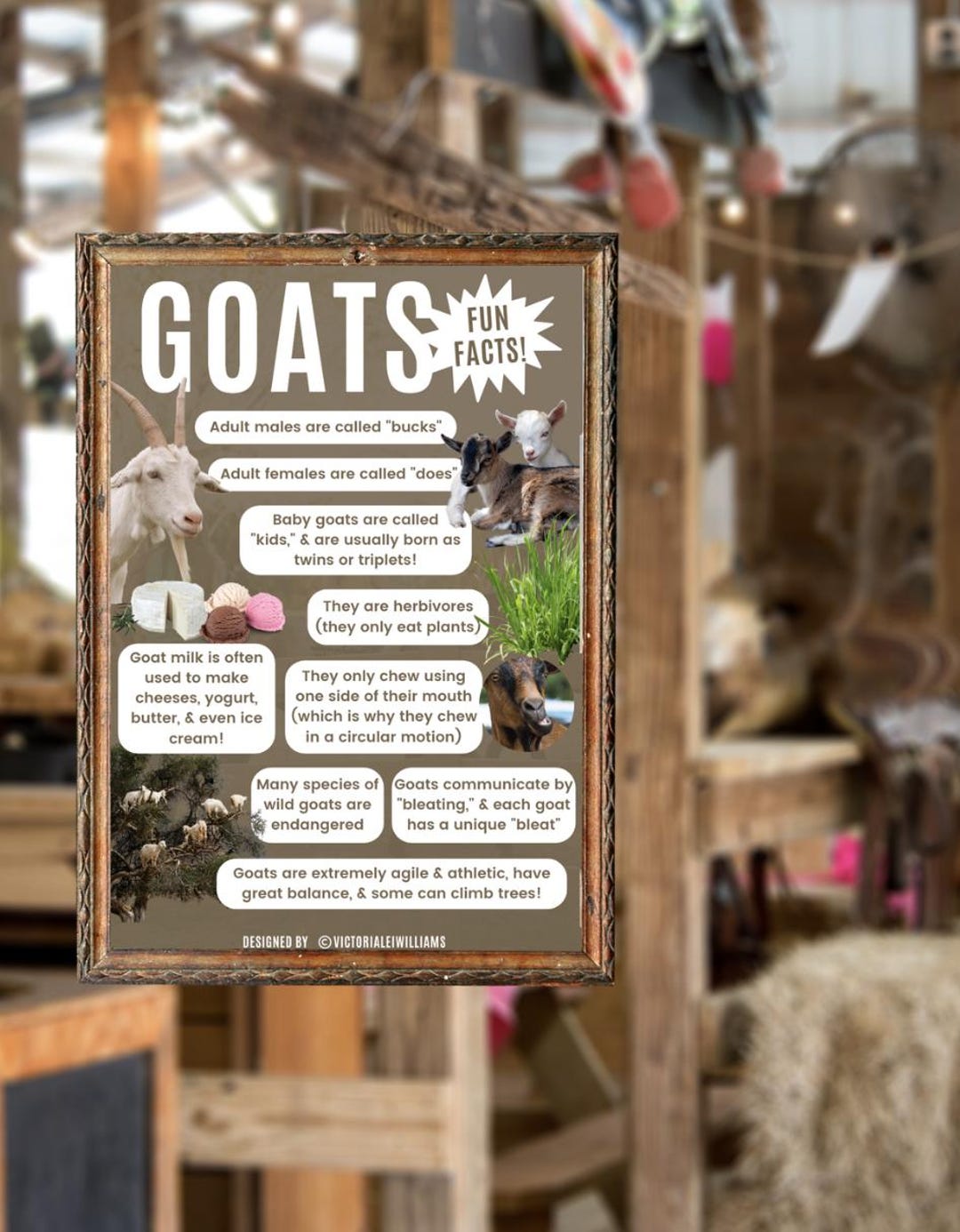 Goat Fun Facts Poster Sign DOWNLOAD - Etsy