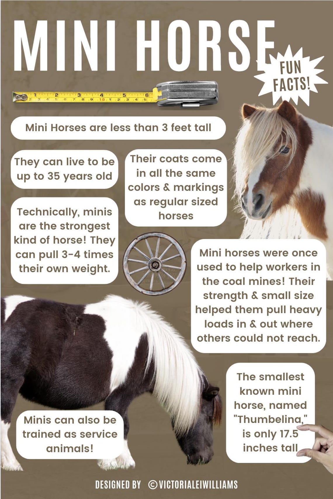 Mini Horse Fun Facts Poster Sign DOWNLOAD - Etsy