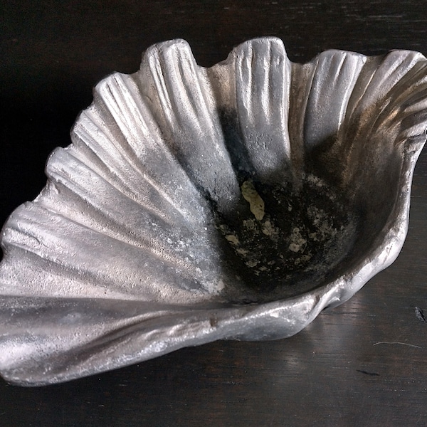 Sea Shell Decor - Etsy