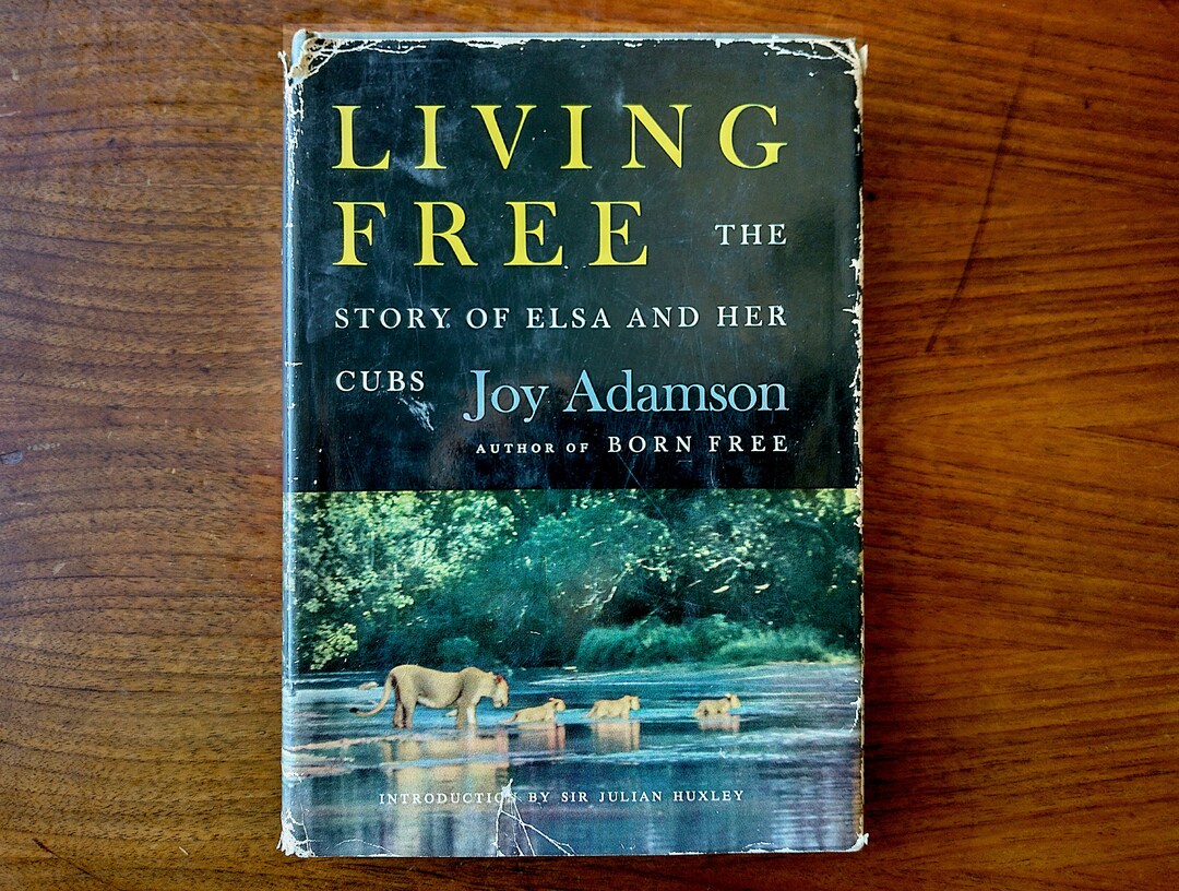 Living Free: the Story of Elsa and Her Cubs by Joy Adamson - Vintage ...