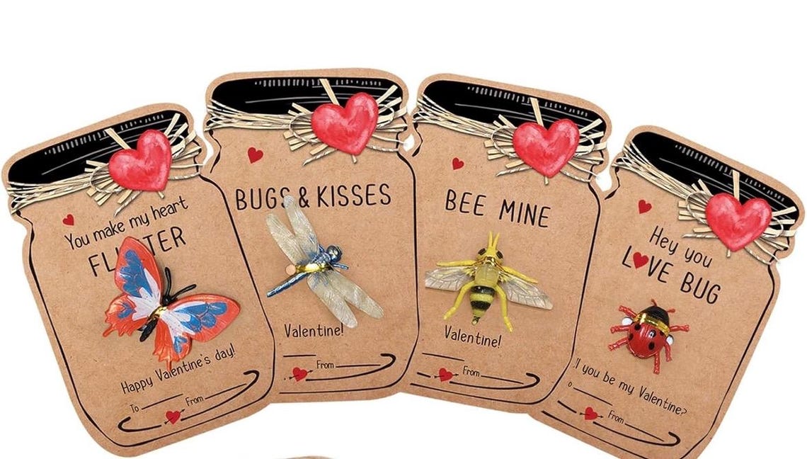 Valentine’s Day Love Bug Cards and Toy Bug, Classroom Gifts, Valentines ...