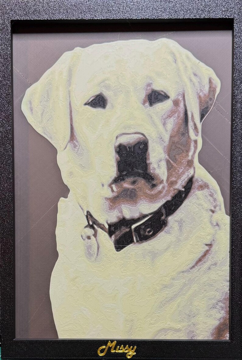 3D Printed Pet Photos With Frame - Etsy