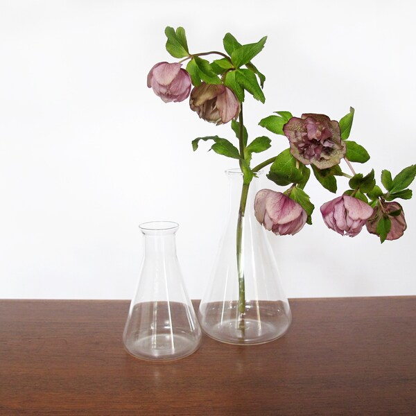 Beakers - Etsy