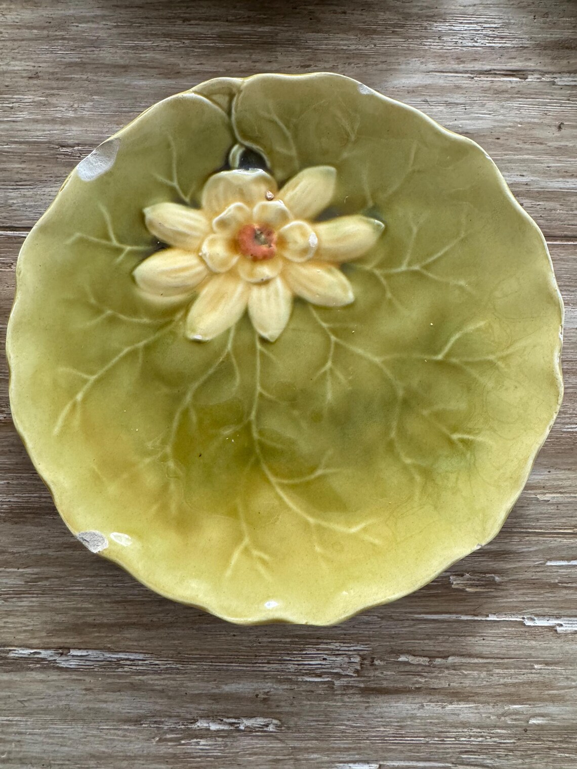 Villeroy & Boch Majolica Water Lily Plates C.1900's - Etsy