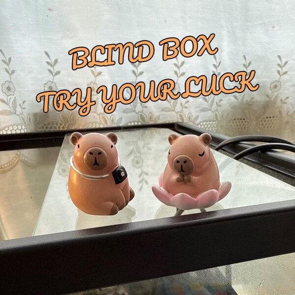 Blind Boxes Capybara - Etsy