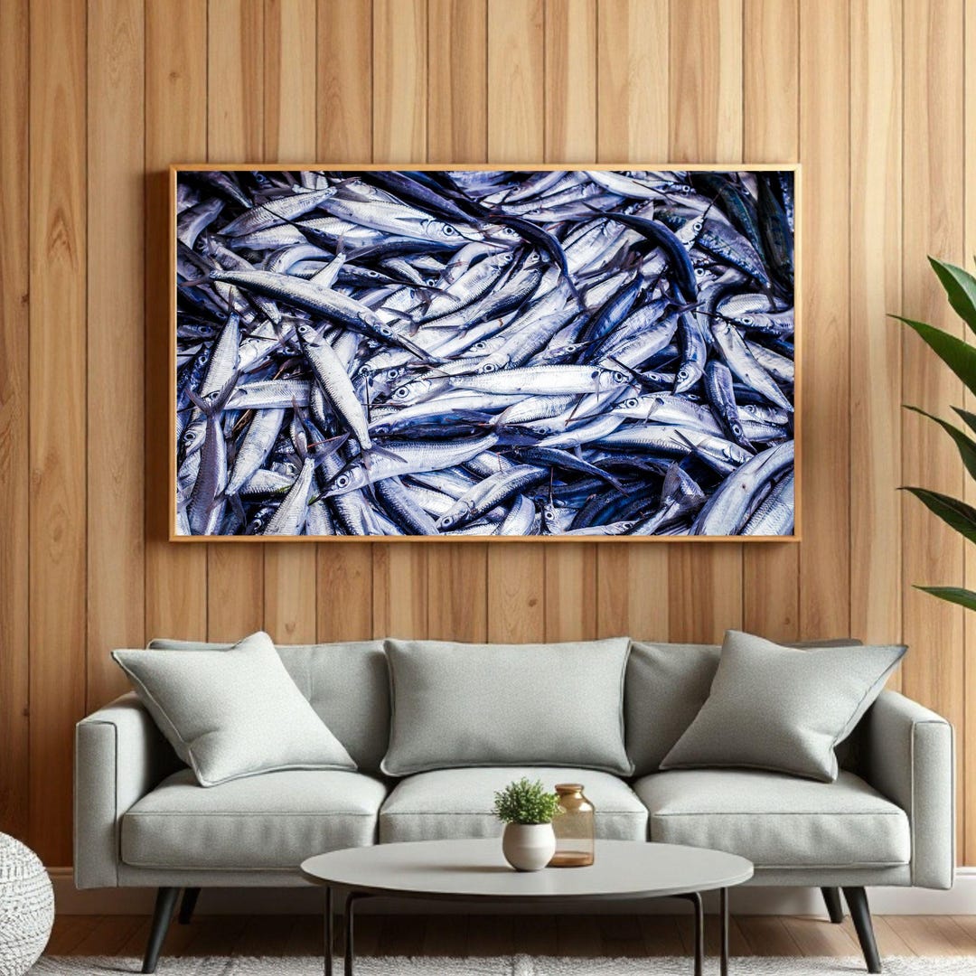 Fresh Catch: Shiny Silver Fish – Stunning Seafood & Fishing Photography ...