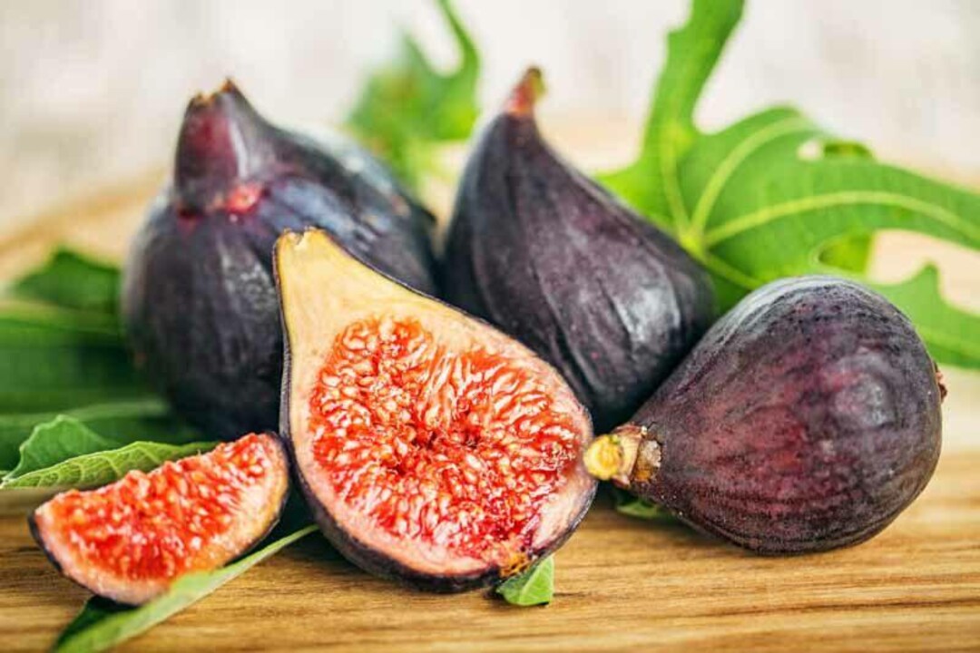SUPER RARE Big Fig Ficus Carica - 3 Unrooted Cuttings for Rooting or ...