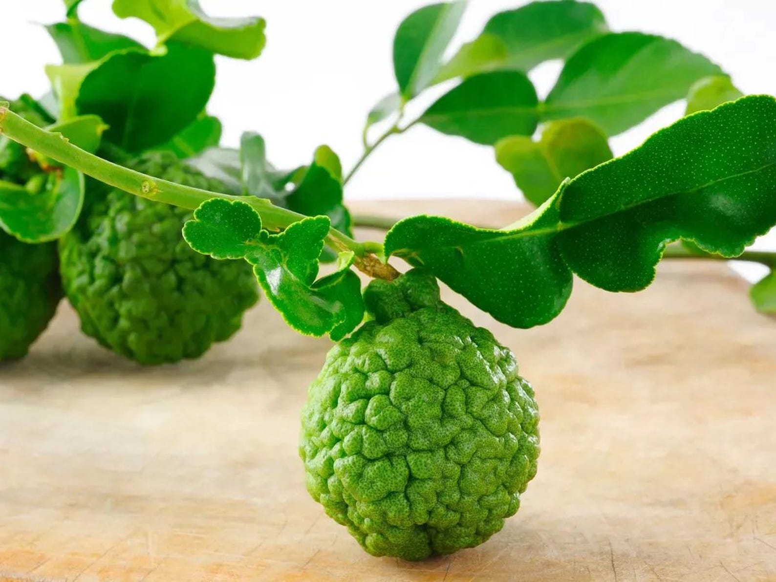 5 RARE Seeds Kaffir Lime Herb Vegetable Plant Fragrant Aroma Organic ...