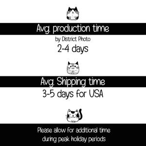 Cat Wall Calendar 2025, Cute Kitten Calendar for Cat Ladies Lovers ...