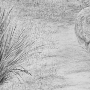 The Quarry: Jackrabbit, Hare, Eagle, Avian Predator, Bird of Prey ...
