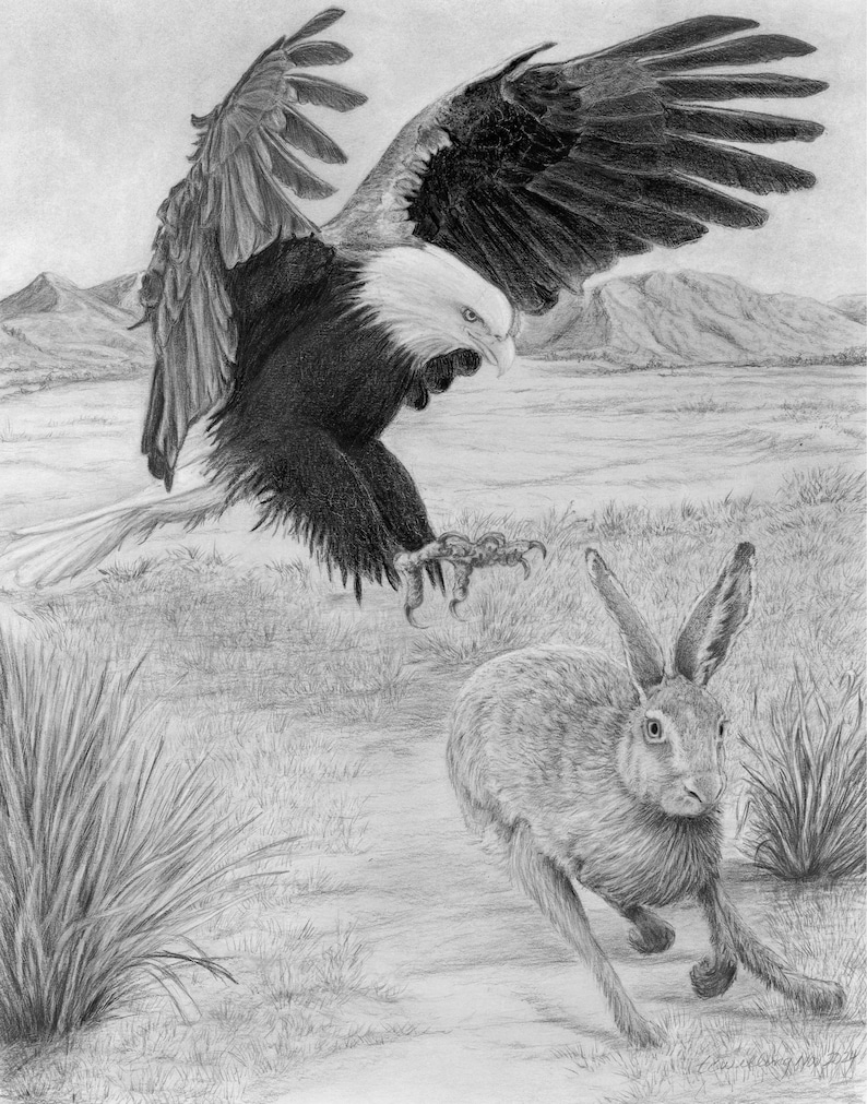 The Quarry: Jackrabbit, Hare, Eagle, Avian Predator, Bird of Prey ...
