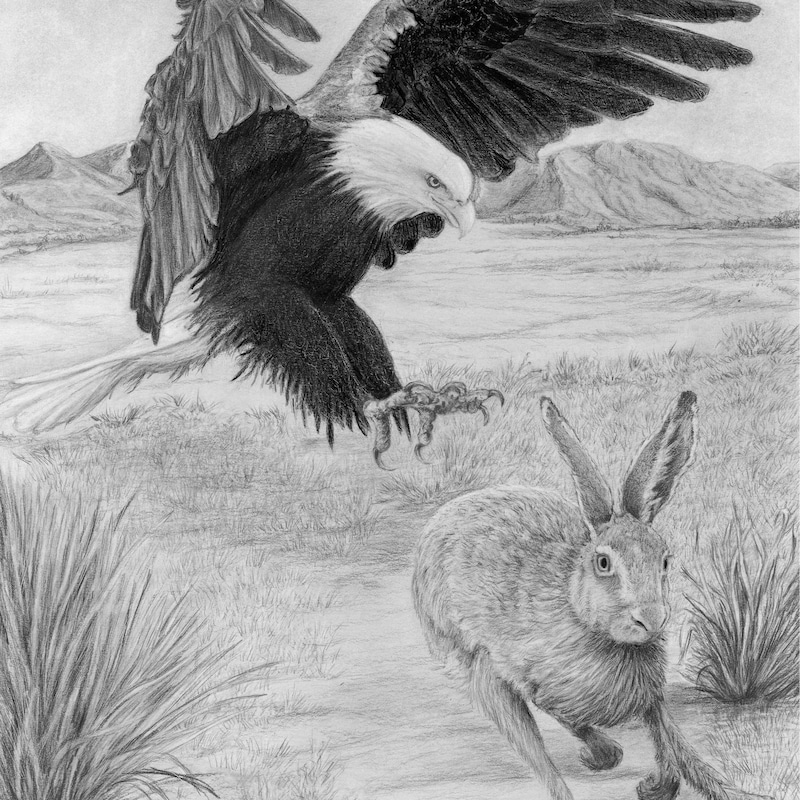 Graphite Drawing - Etsy