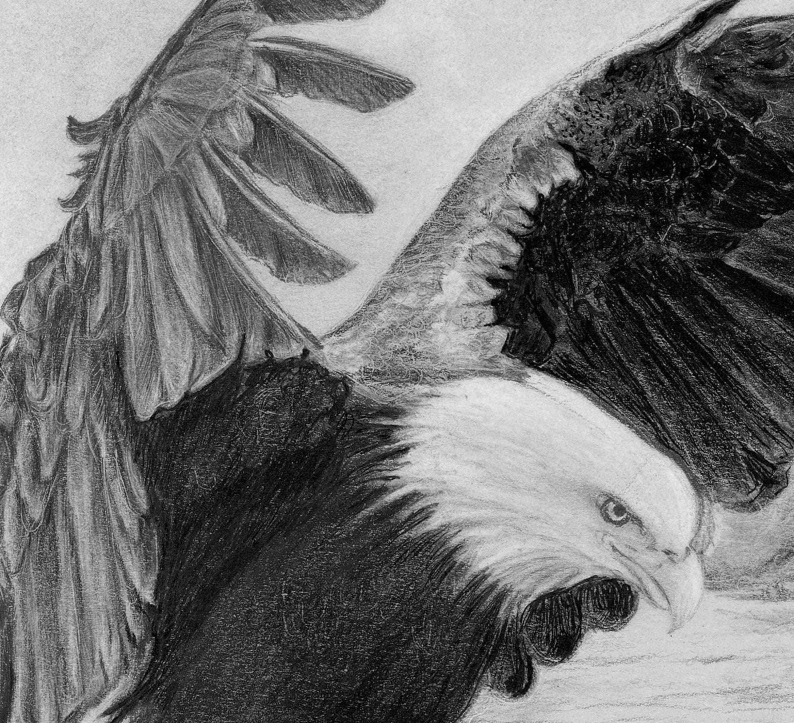 The Quarry: Jackrabbit, Hare, Eagle, Avian Predator, Bird of Prey ...