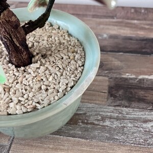 Vintage Jade Cherry Blossom Tree - Etsy