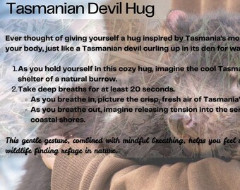 Mindfulness Inspired by TAS: Tasmanian Devil Hug - Etsy