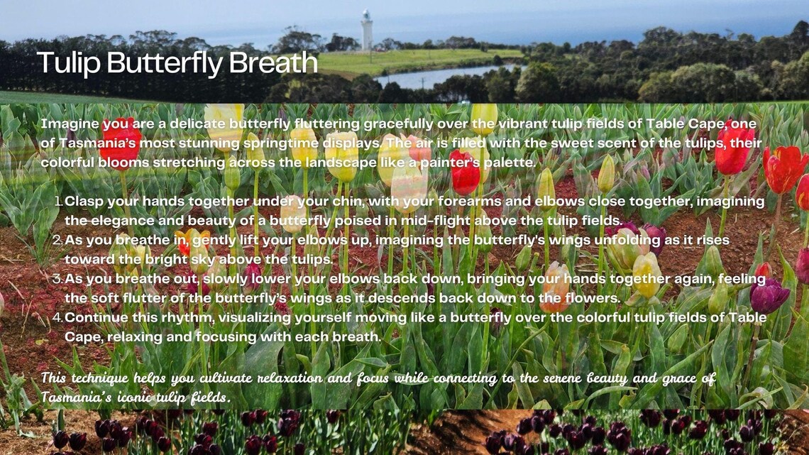 Mindfulness Printable • Tulip Butterfly Breath • Tasmania-inspired ...