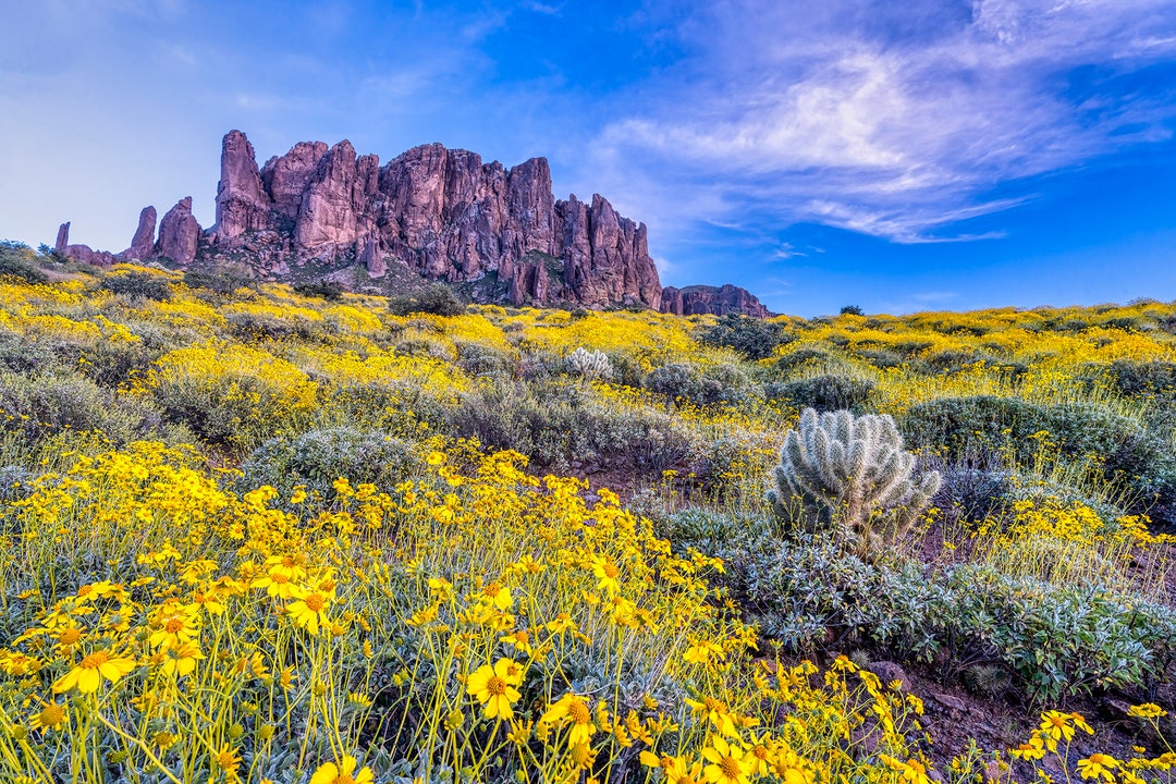 Superstition Mountain Spring - Etsy