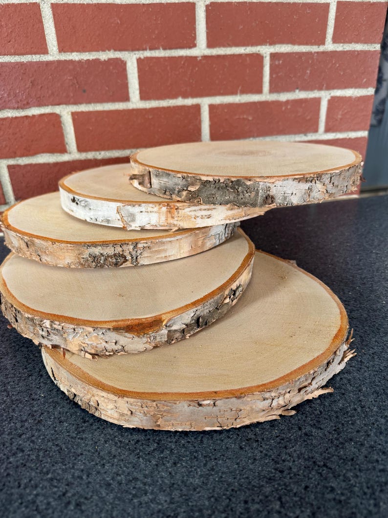 10"-12" Ash or White Birch Wood Slice Rustic Decor Center Piece Craft ...