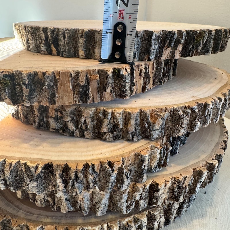 Ash Wood Circles - Etsy