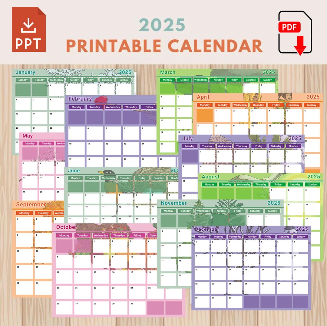 Editable Calendars 2025-2026 With FREE Updates - Etsy
