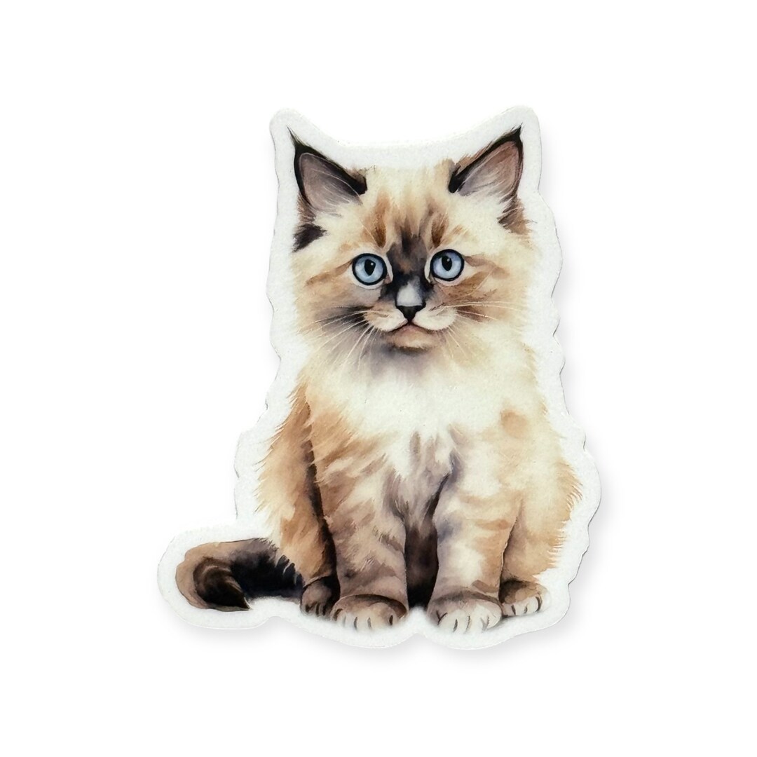 Ragdoll Cat Sticker | Cat Sticker | Cute Ragdoll Cat - Etsy