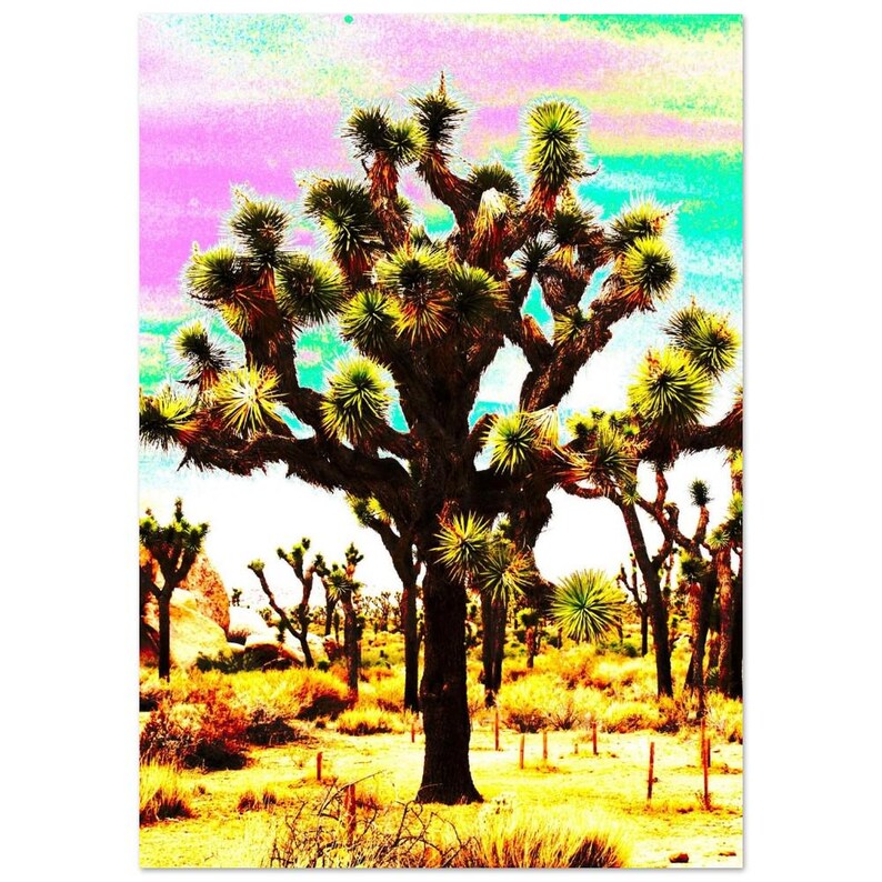 Stunning Joshua Tree Poster - Modern Photo Art Print - Eco-friendly ...