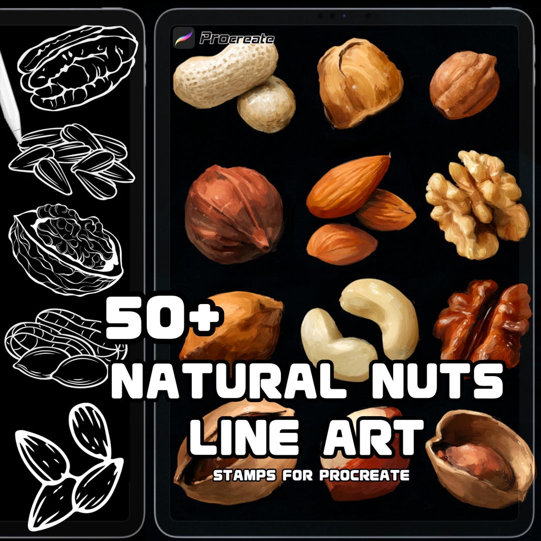 Nuts Sketch Brushes for Procreate | Dry Fruit Line Art and Food ...