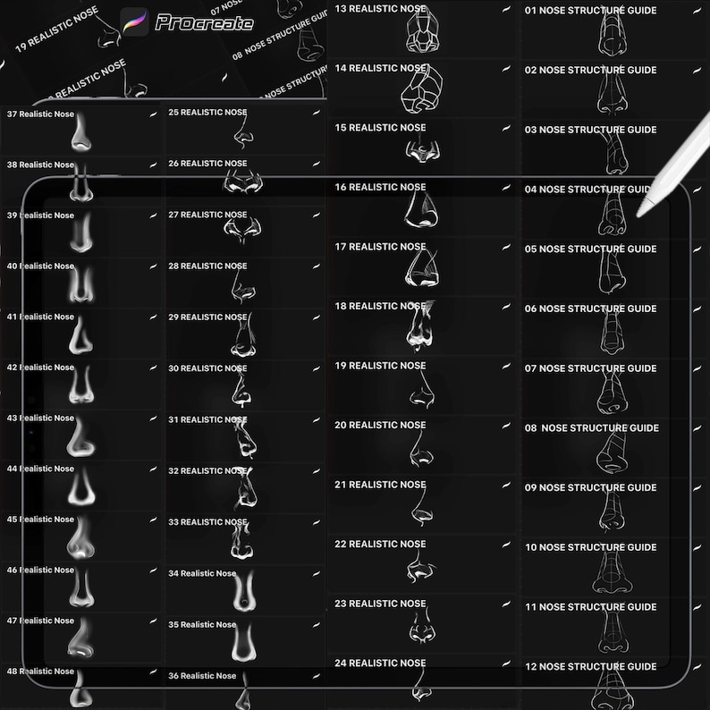 Procreate Nose Brushes | Realistic Anatomy and Shading Stamps for Face ...