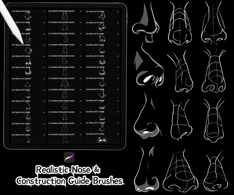 Procreate Nose Brushes | Realistic Anatomy and Shading Stamps for Face ...