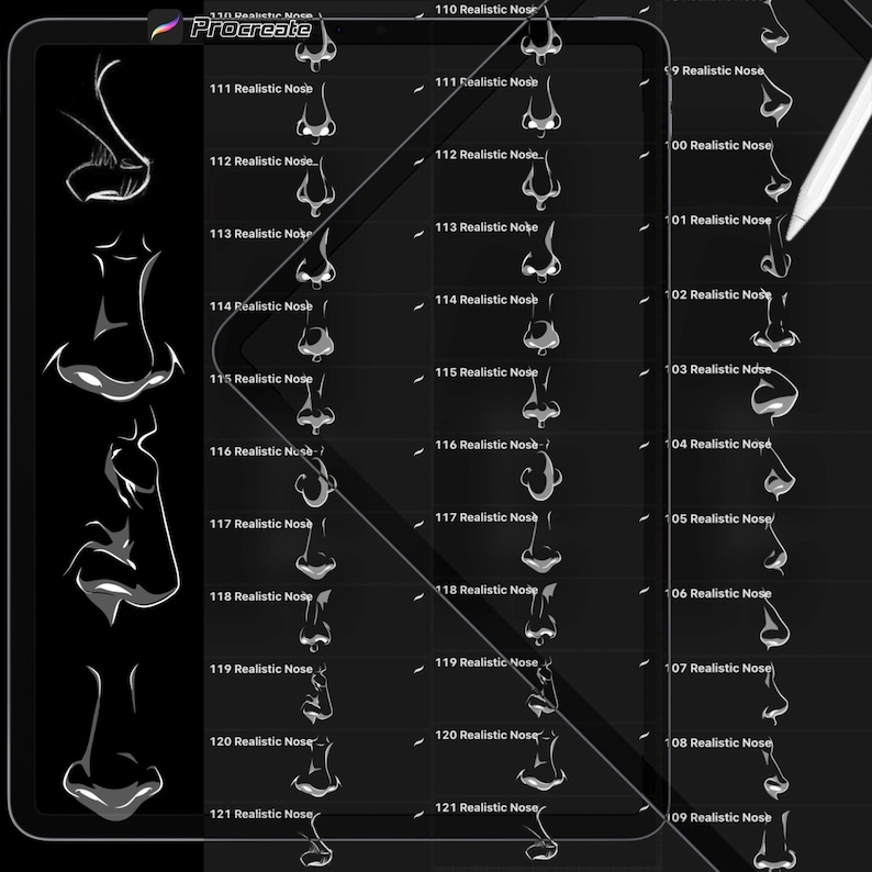 Realistic Nose Brushes for Procreate | Nose Shapes, Anatomy Guides ...